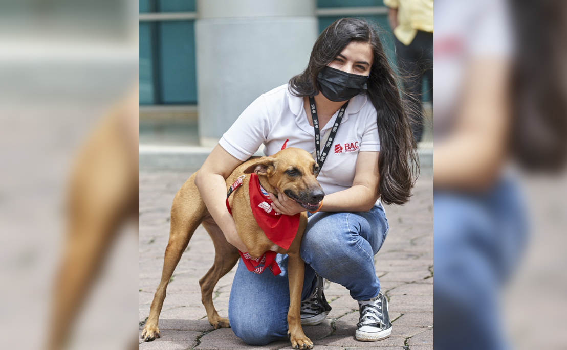 BAC Credomatic comprometido con el bienestar animal | La Mesa Redonda